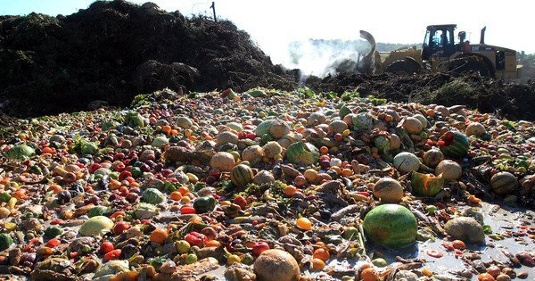 You'll Be Shocked To Find Out How Much Edible Food Malaysians Throw ...
