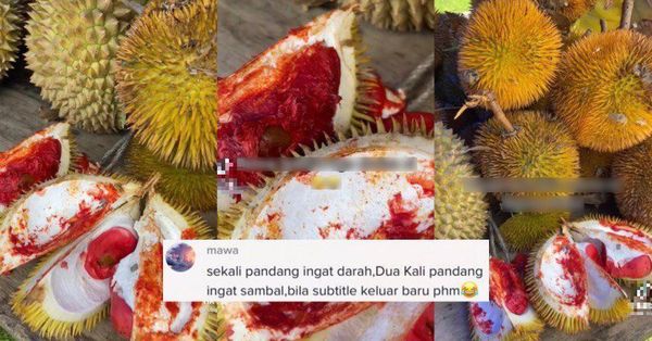 [VIDEO] Durian Warna Merah Di Sabah Ini Tarik Perhatian, Ramai Nak Tahu ...