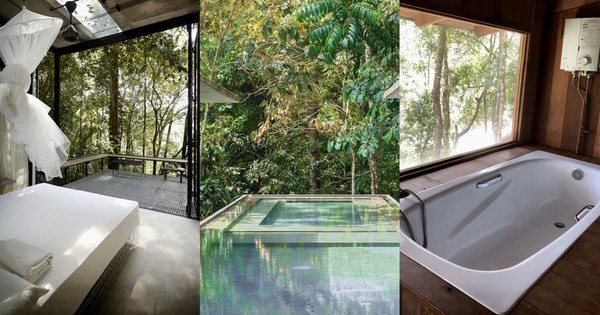 7 ‘Tree House’ Menarik Di Malaysia Untuk Anda Nikmati Suasana Semula ...