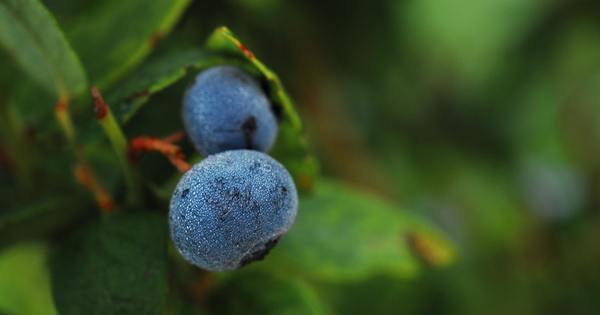What Is Blue Balls: Here's Everything You Need To Know