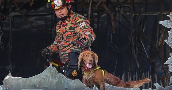 Sniffer Dogs Mobilised At Wisma Jakel To Determine Cause Of Fire