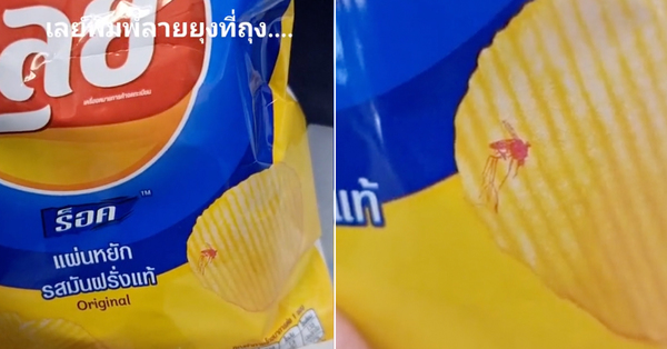 "Limited Edition" — Mosquito Finds Itself Imprinted On Lay's Chips ...